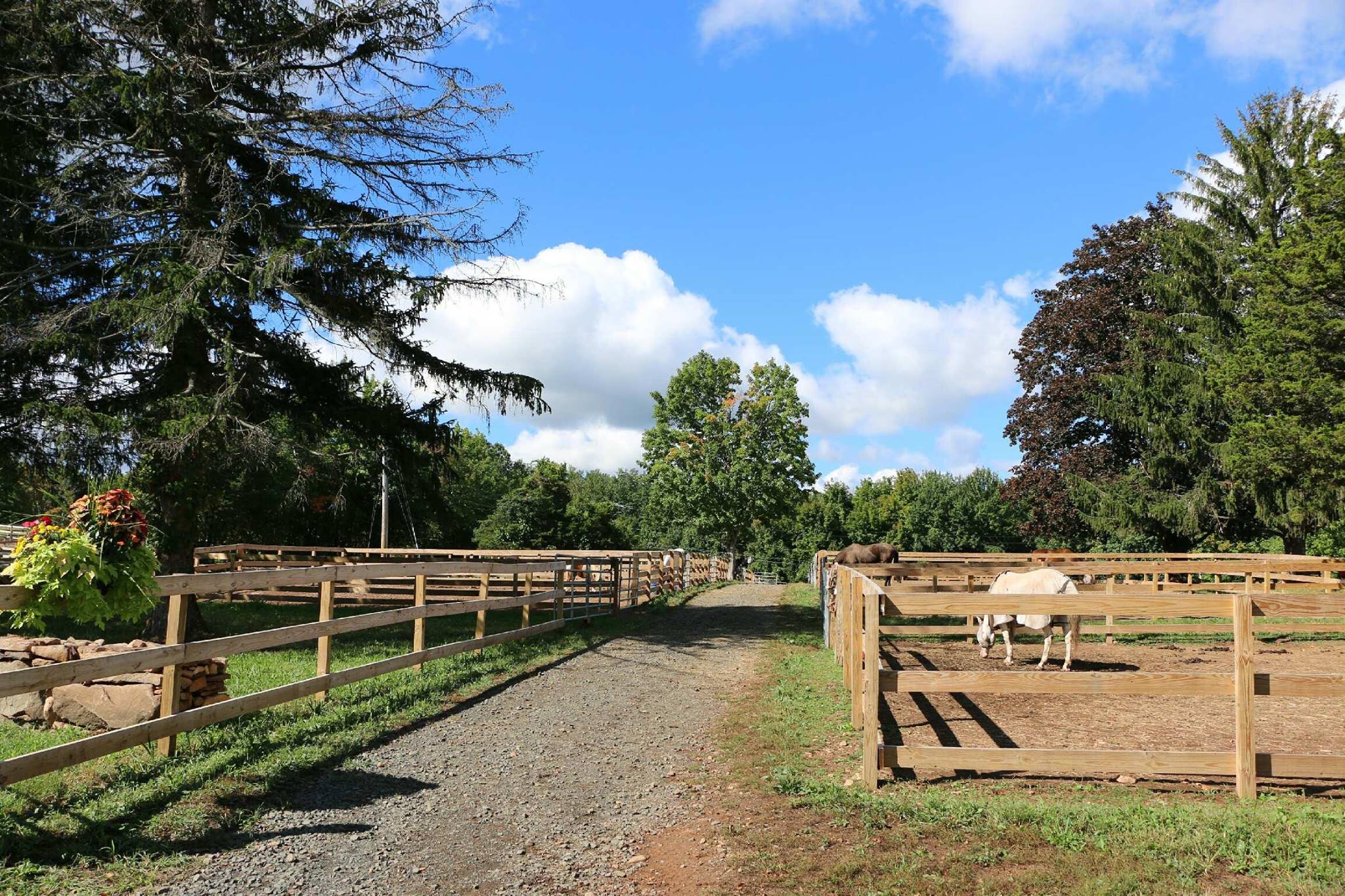 The Stables at Westfield
