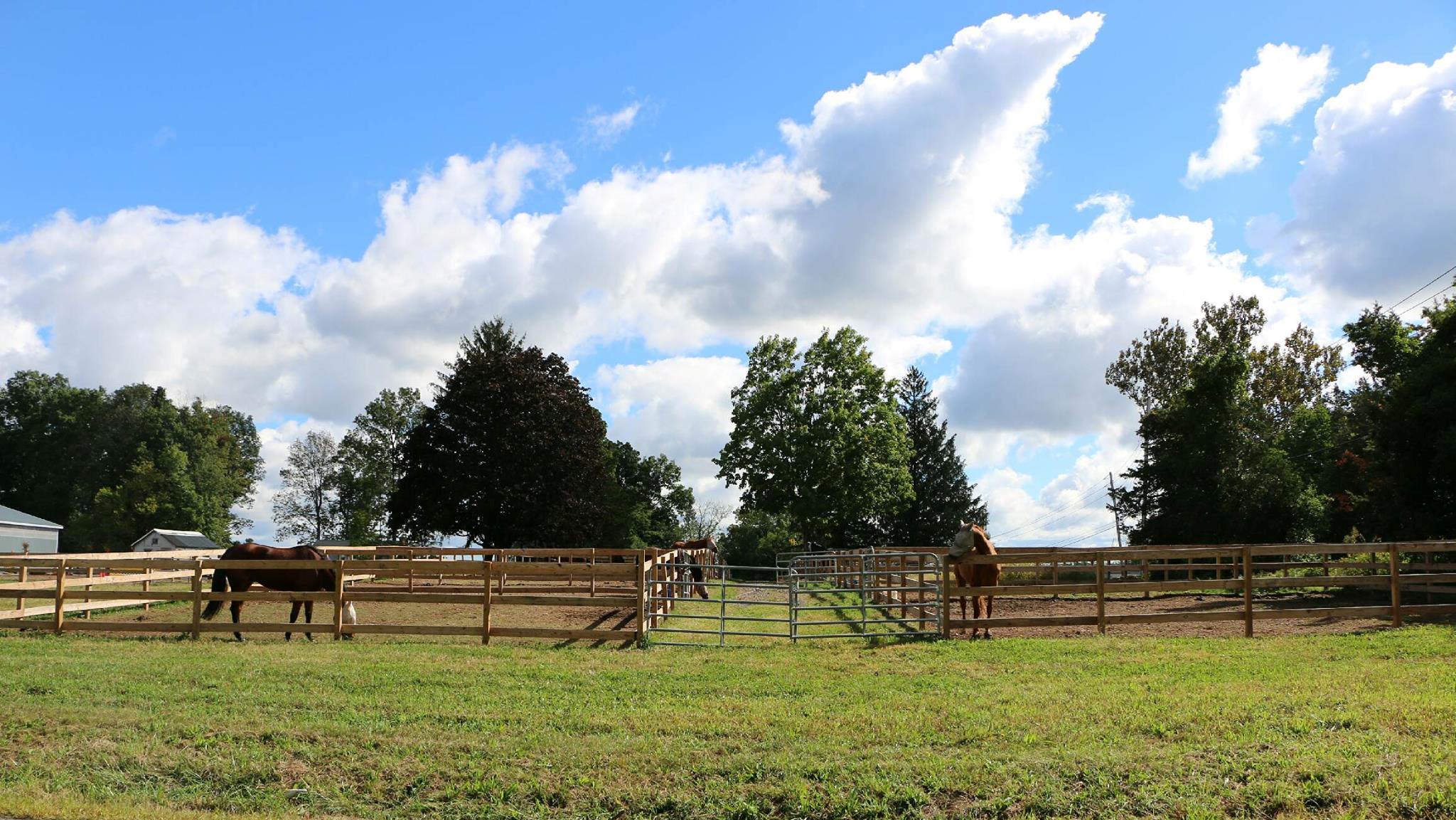 The Stables at Westfield